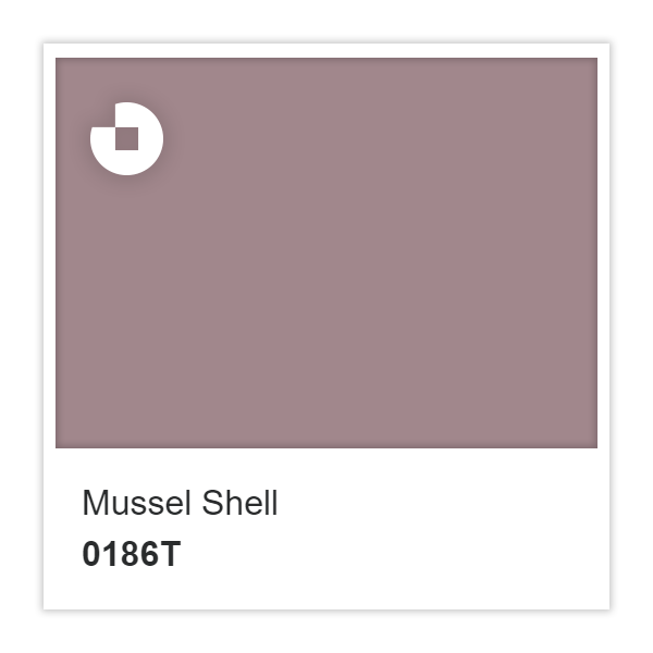Mussel Shell - Tambour