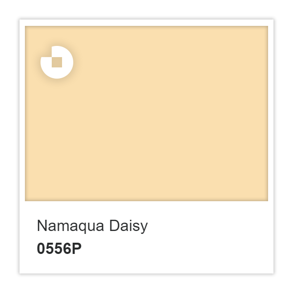 Namaqua Daisy - Tambour