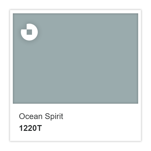 Ocean Spirit - Tambour