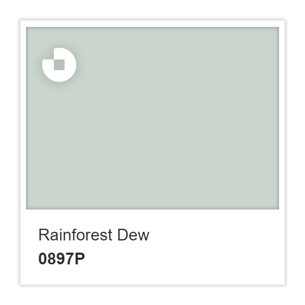 Rainforest Dew - Tambour