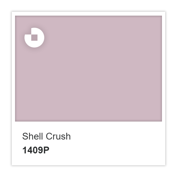 Shell Crush - Tambour